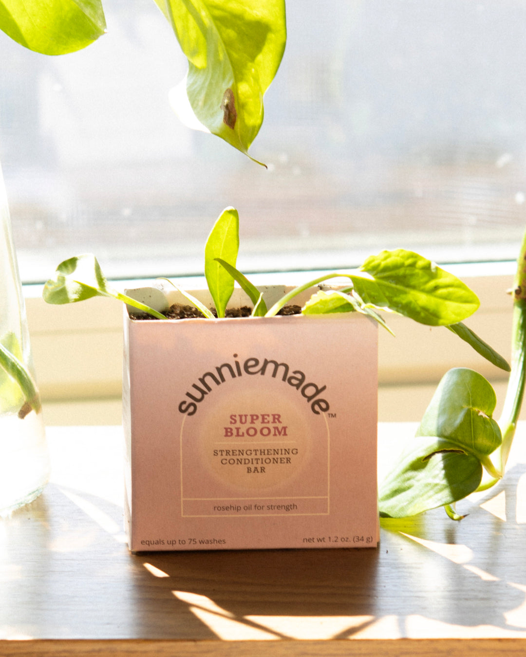 The Power of Plants – Sunniemade